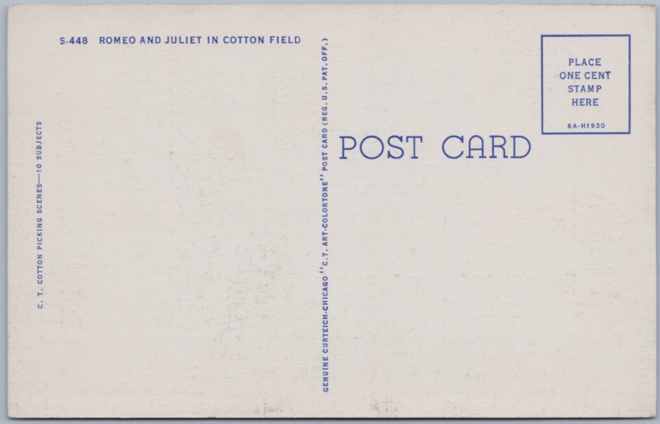 Romeo And Juliet In Cotton Field, CT Cotton Picking Scenes, Linen ...