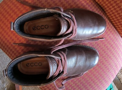 ECCO Men's Turn GTX Lace-Up Boot 39 Vortex Shock Point Dark Brown,Nice ...