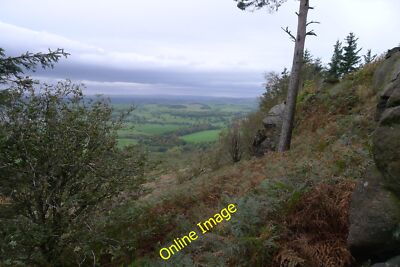 Photo 12x8 Crag Wood below Sharp Haw Flasby The steep slope of Crag ...