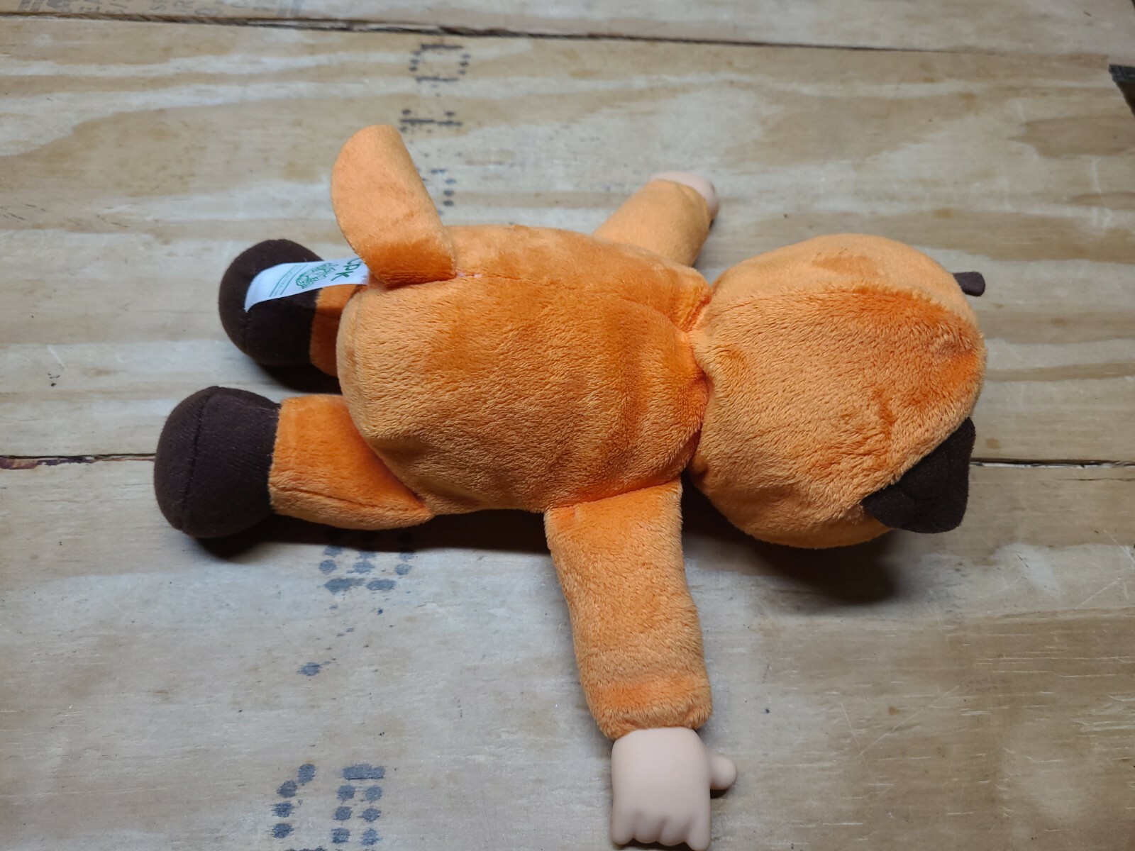 Cabbage Patch Kids Cuties Forest Friends 36 Rusty Racoon 9 Inch Doll ...