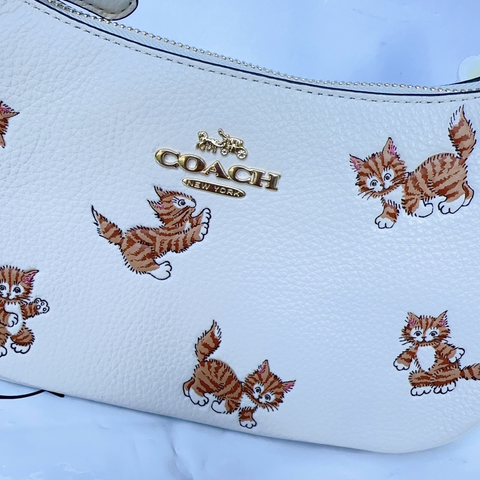 NWT Coach Teri Shoulder Bag With Dancing Kitten Print Cc777 | eBay