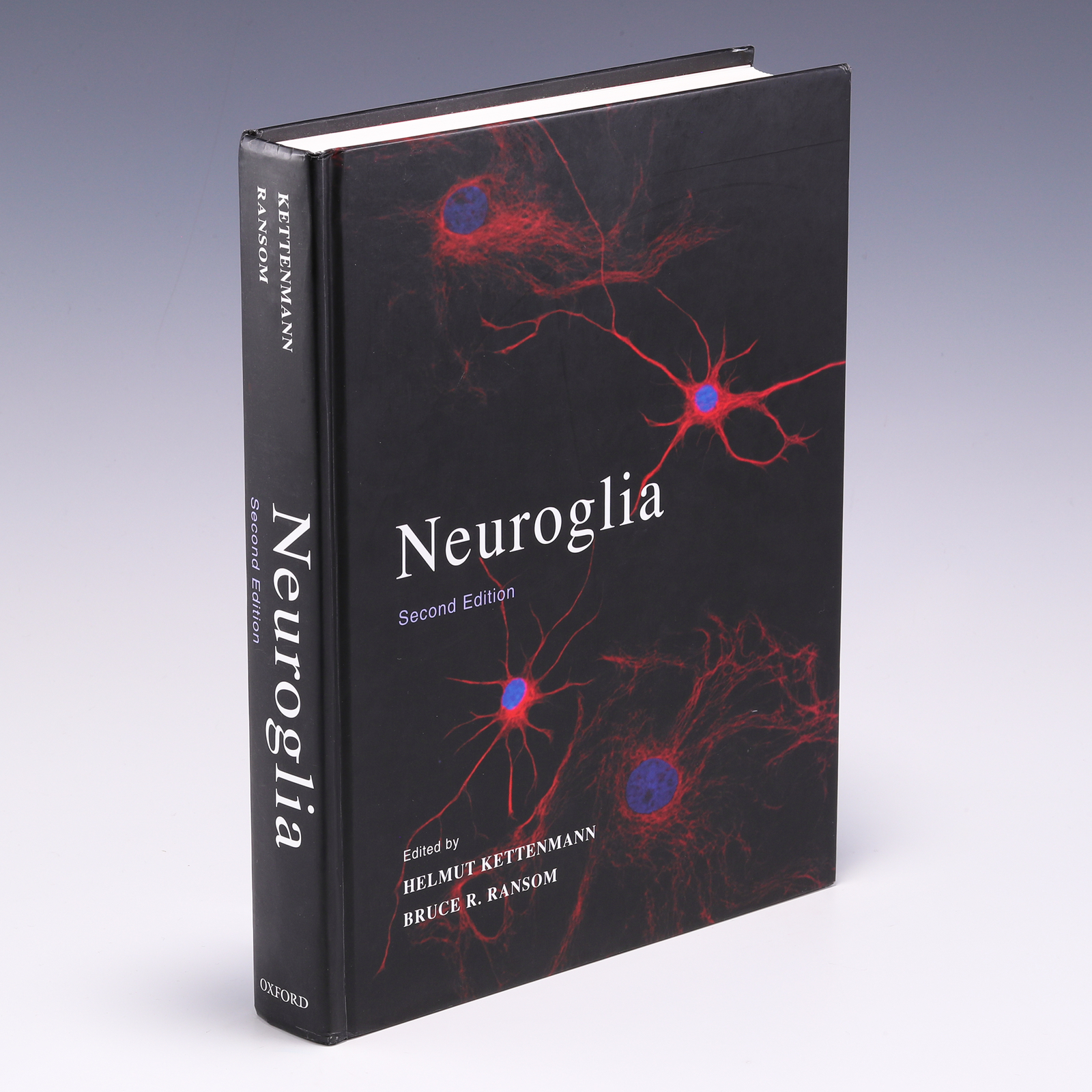 Neuroglia 2nd Ed by Helmut Kettenmann & Bruce R. Ransom | eBay