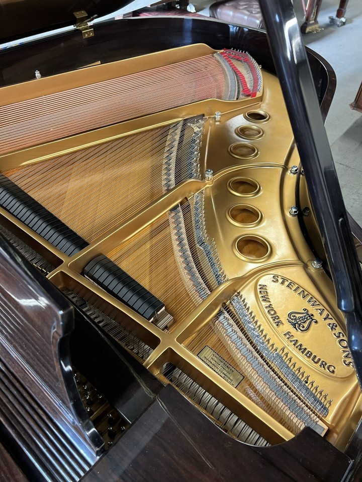 Remarkable Steinway & Sons Model M Macassar Ebony Baby Grand Piano Made ...
