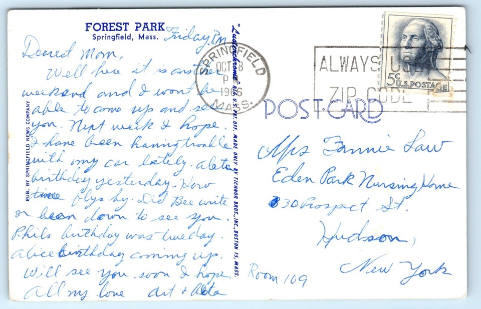 POSTCARD Forest Park Springfield Massachusetts Purple Flower Vegetation ...