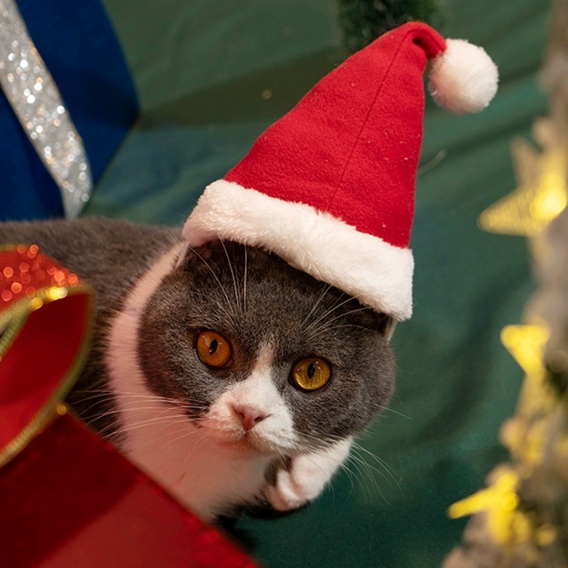 Christmas Cat Costume Small Dog Santa Hat with Scarf Puppy Kitten Xmas ...