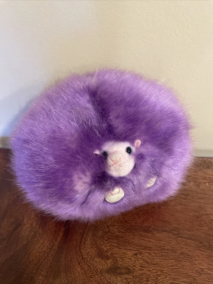 Purple Pygmy Puff