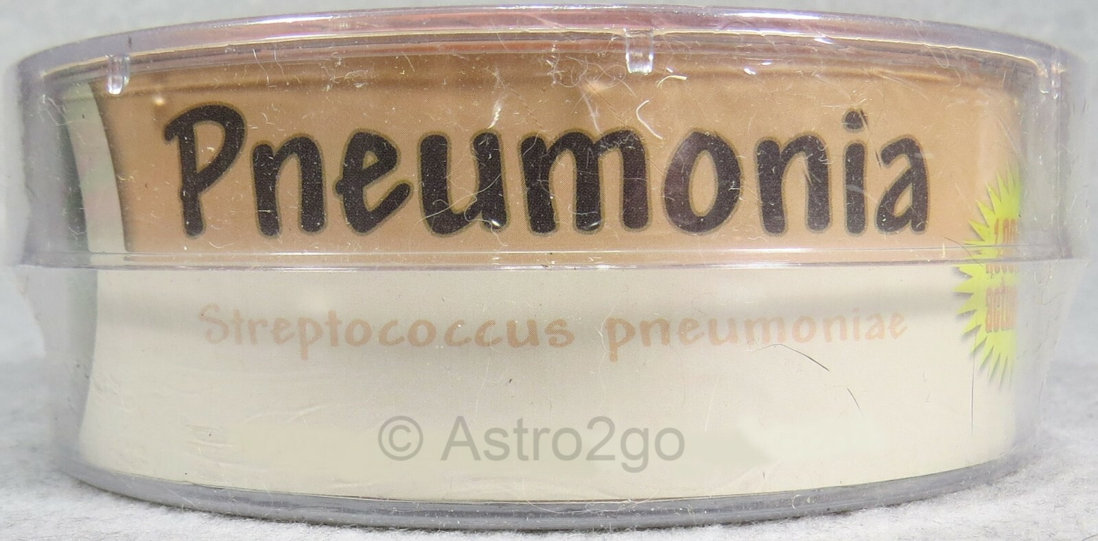 GIANT MICROBES-PNEUMONIA PETRI DISH-Stuffed Plush Bacteria Lung ...