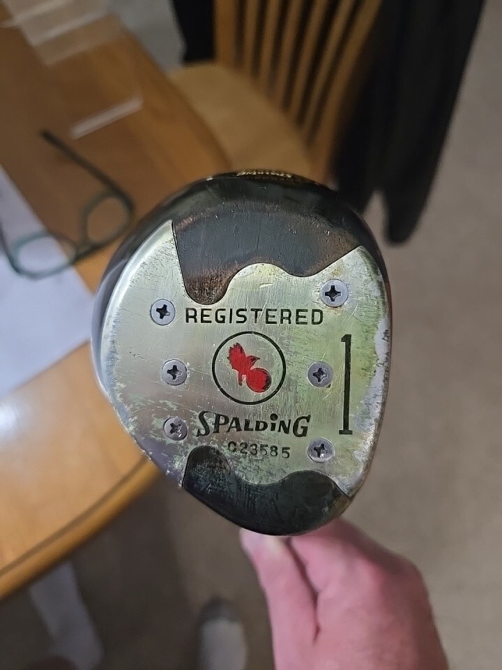 Spalding Bird on BallTop Flite Persimmon Driver Wood and Steel RH 43 ...