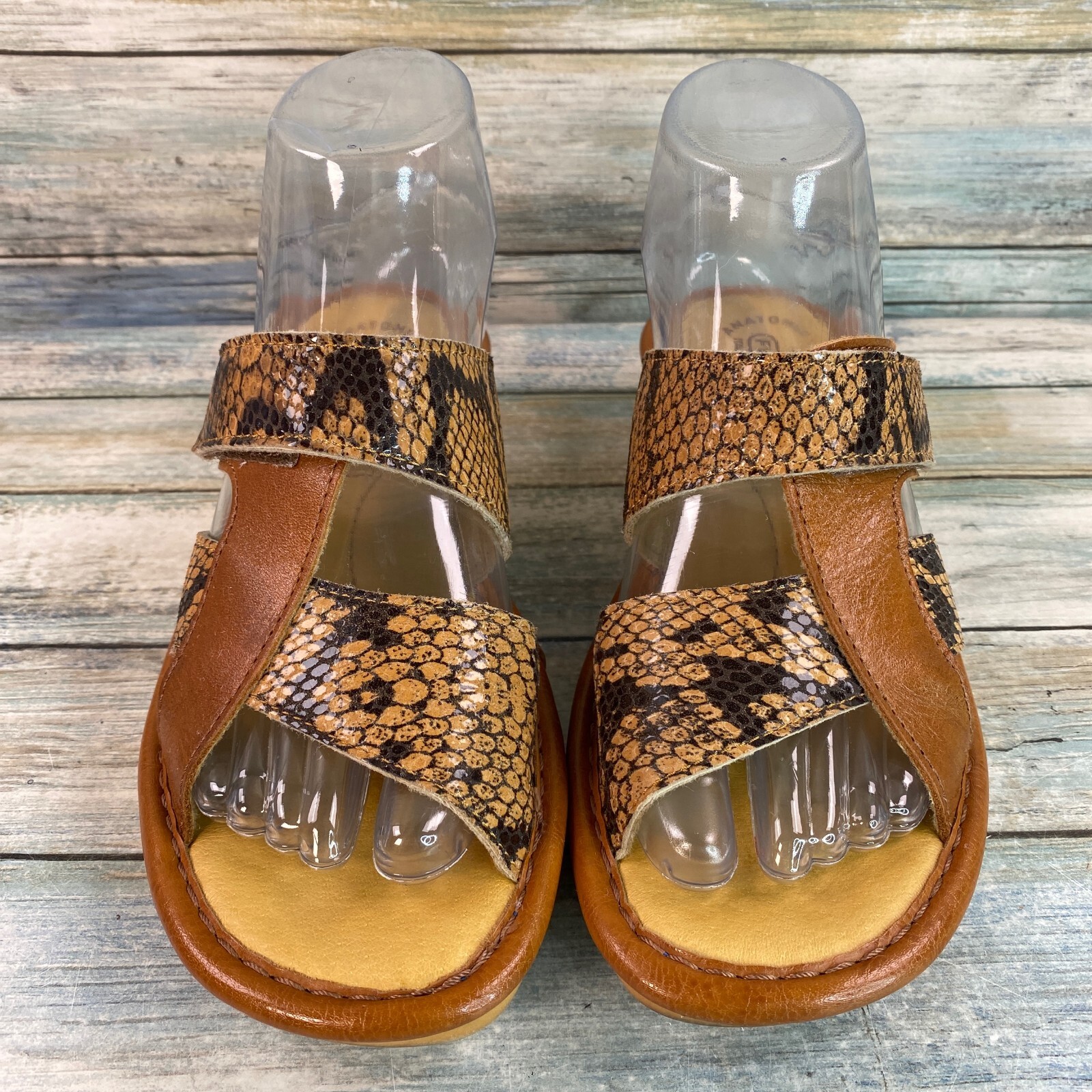 Fly Flot Womens Size 6.5/7M Slide Sandal Brown Snake … - Gem