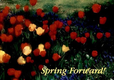 Spring Forward Reminder, Real Estate Market Update - 1997 Postcard | eBay