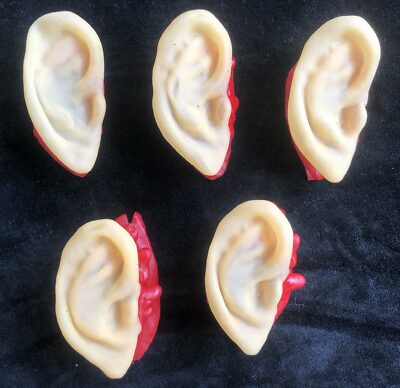 5pc Bloody Body Part Fake HUMAN SEVERED EARS Zombie Hunter Halloween ...