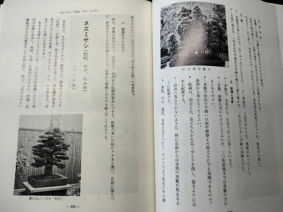 Revised and expanded All about bonsai Megumi Asae Case Book cover ...