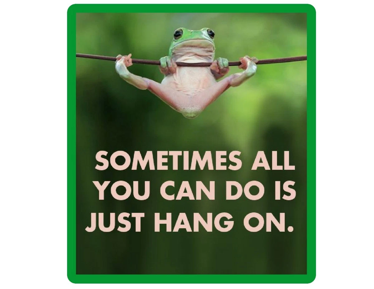 Hang On Meme