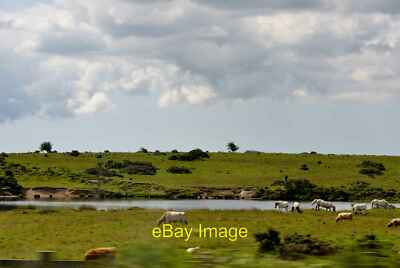 Photo 6x4 North Cornwall : Pond near Bodmin Moor Millpool 2 c2011 | eBay UK