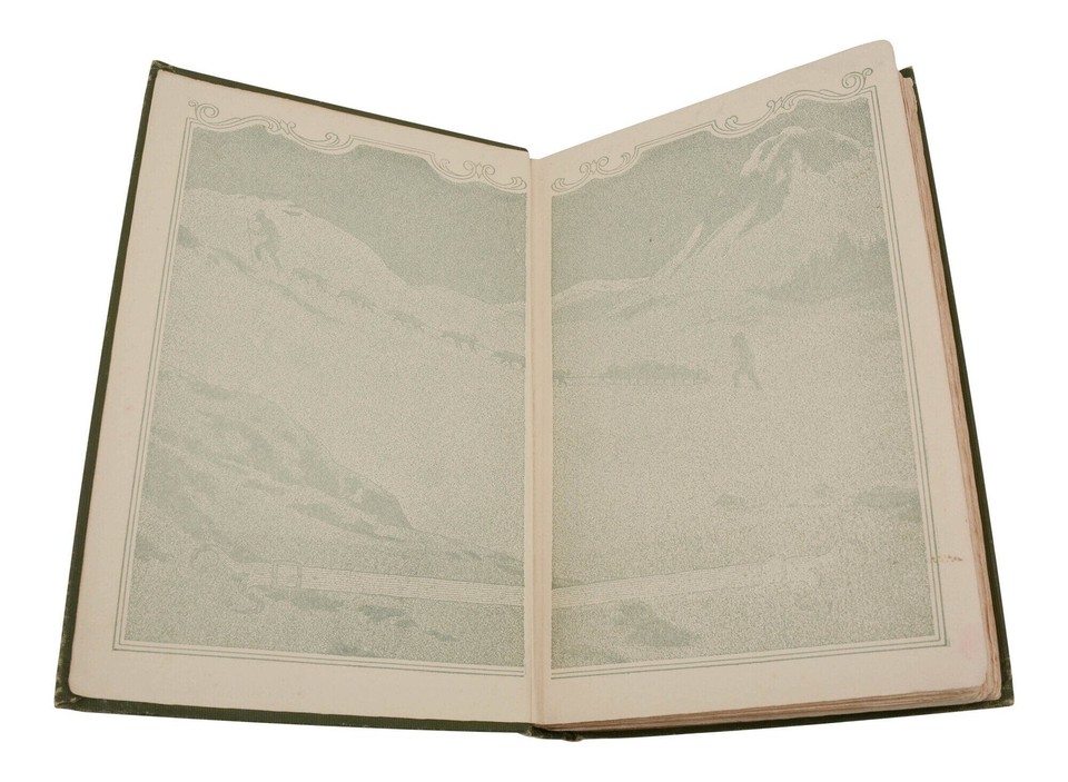 The Call of the Wild ~ by JACK LONDON ~ First Edition ~ 1st Printing ...