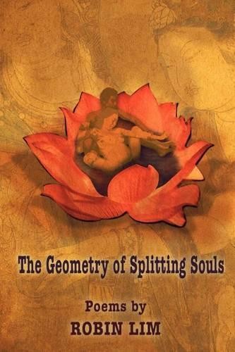 Robin Lim The Geometry of Splitting Souls (Poche) 9781421886343 | eBay