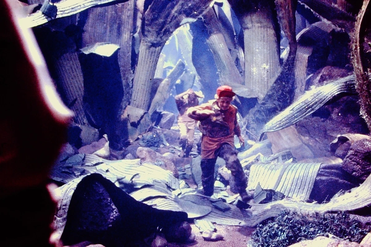 Jared Rushton Honey I Shrunk The Kids