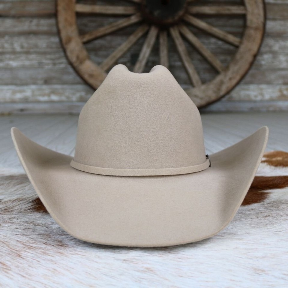 Twister Men's Felt Silverbelly Cowboy Hat | eBay