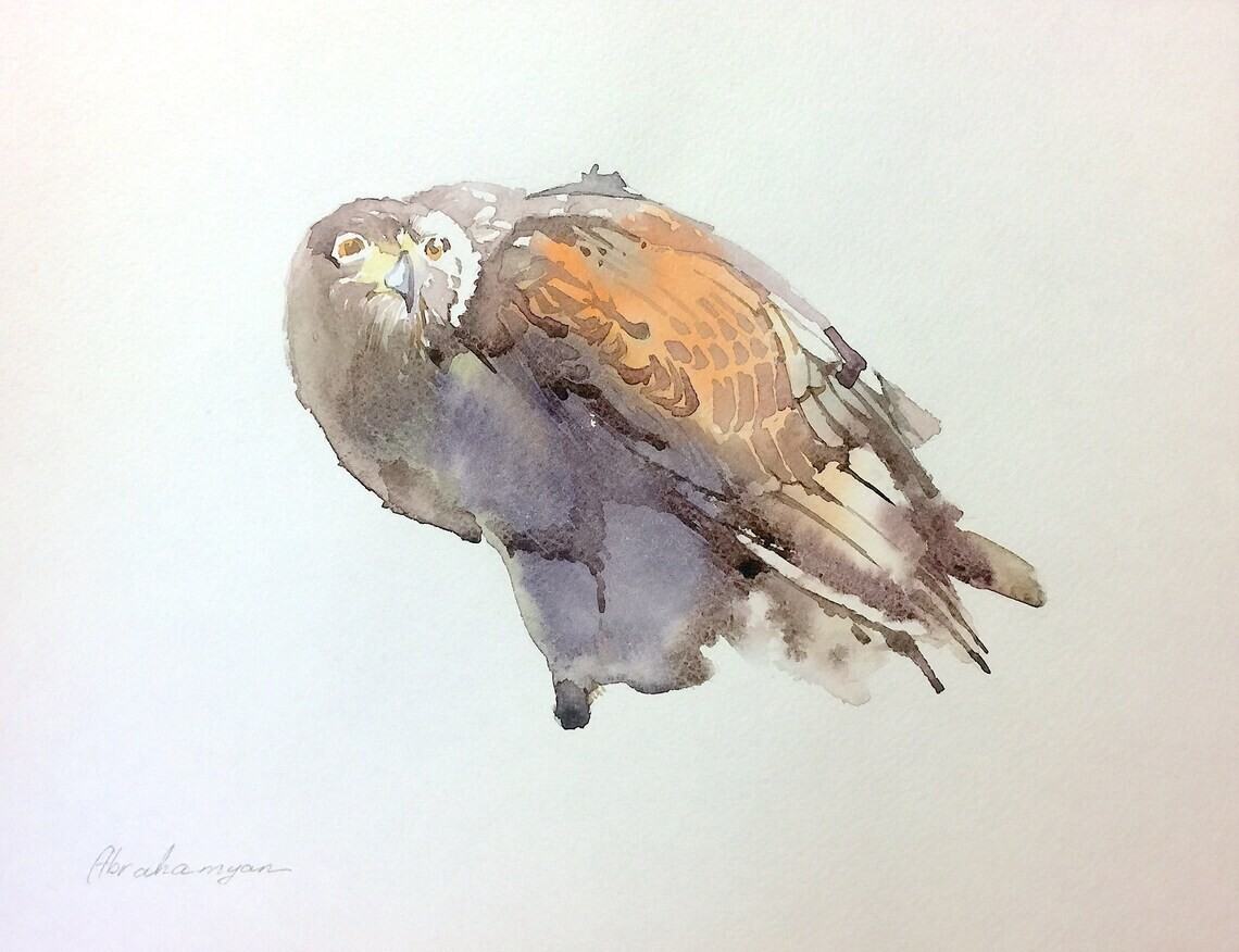 Hawk Painting Watercolor