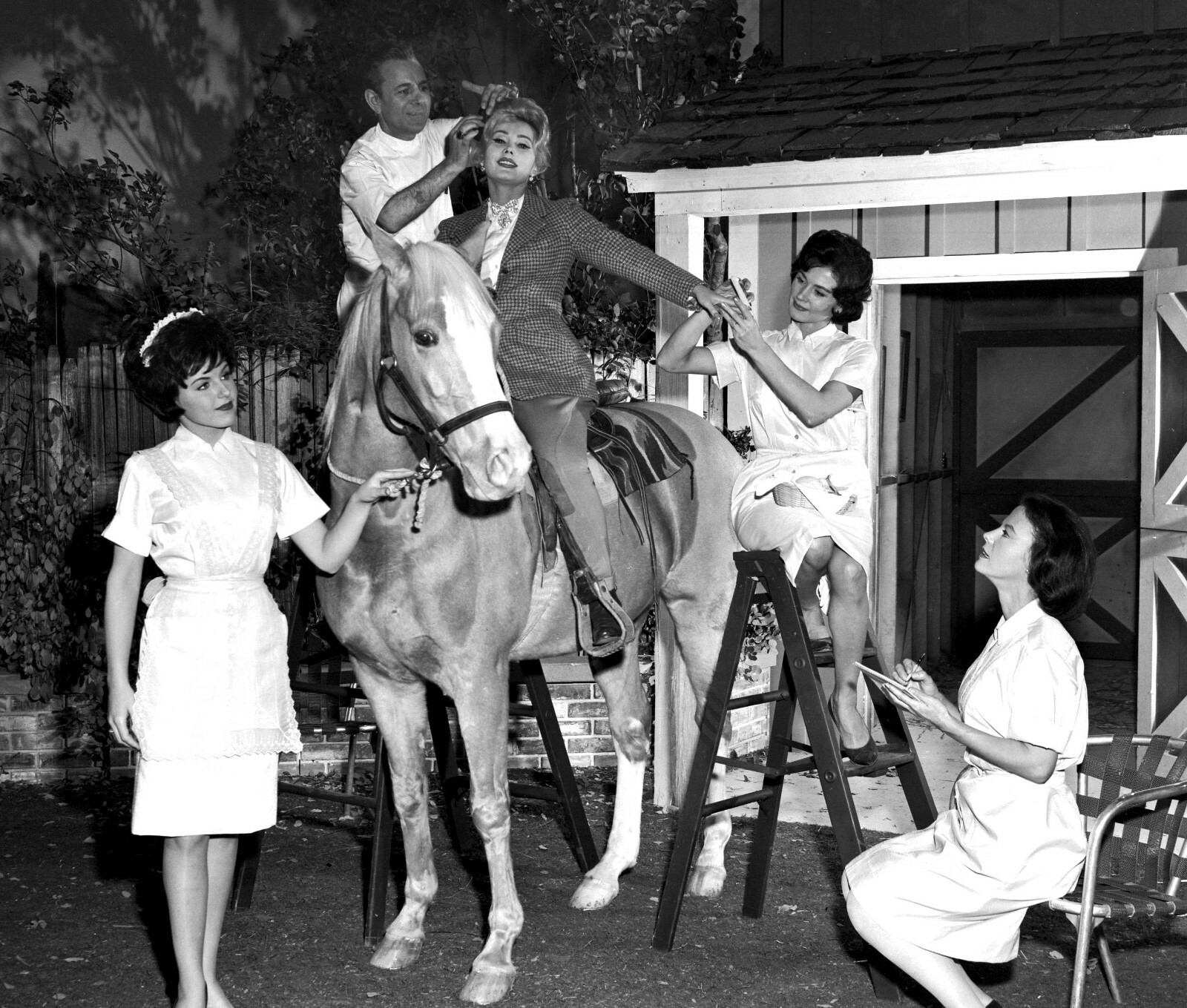 MISTER ED - TV SHOW PHOTO #52 | eBay