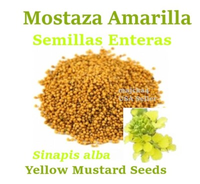 MOSTAZA AMARILLA entera 7 oz 6 Bolsas Bag Yellow MUSTARD SEEDS Sinapis ...