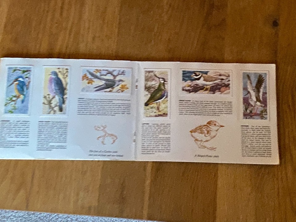 Brooke Bond PG Tips Album & cards - complete - Bird Portraits | eBay UK