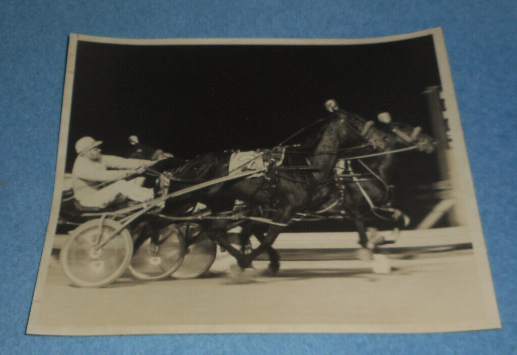 1976 Harness Racing Press Photo Horse Committeeman Liberty Bell Park ...