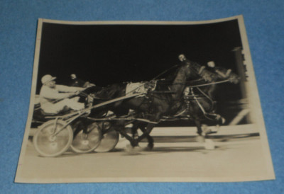 1976 Harness Racing Press Photo Horse Committeeman Liberty Bell Park ...