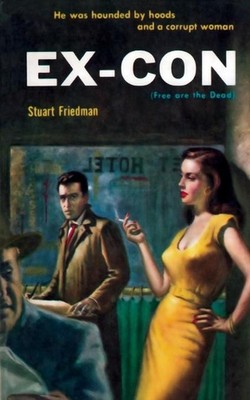 Ex-Con by Stuart Friedman (English) Paperback Book 9781479438303 | eBay ...