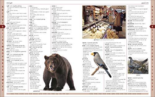 Merriam-Webster Children's Dictionary: Features 3,000 Photographs and ...