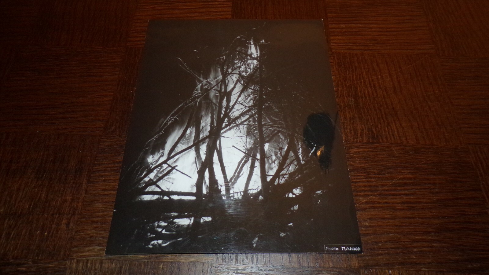 Photo Great Dog Print Robert Manson - 7 5/16x9 3/8in II | eBay