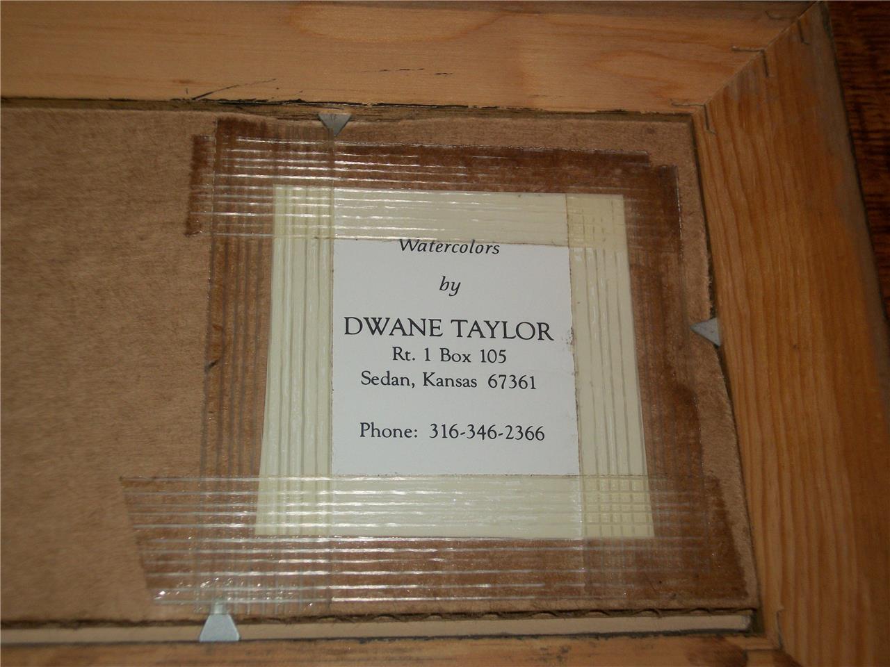 WILD GEESE CANADIAN GOOSE WATER COLOR PAINTING DWANE TAYLOR SEDAN ...