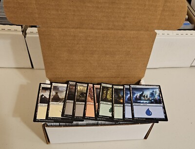 500 Basic Lands | Magic The Gathering Lands | + Card Storage Box | MTG ...