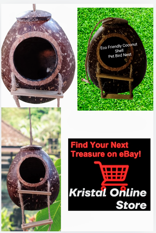Handmade Natural Coconut Shell Bird Nest Eco-Friendly Home Decor Pet ...
