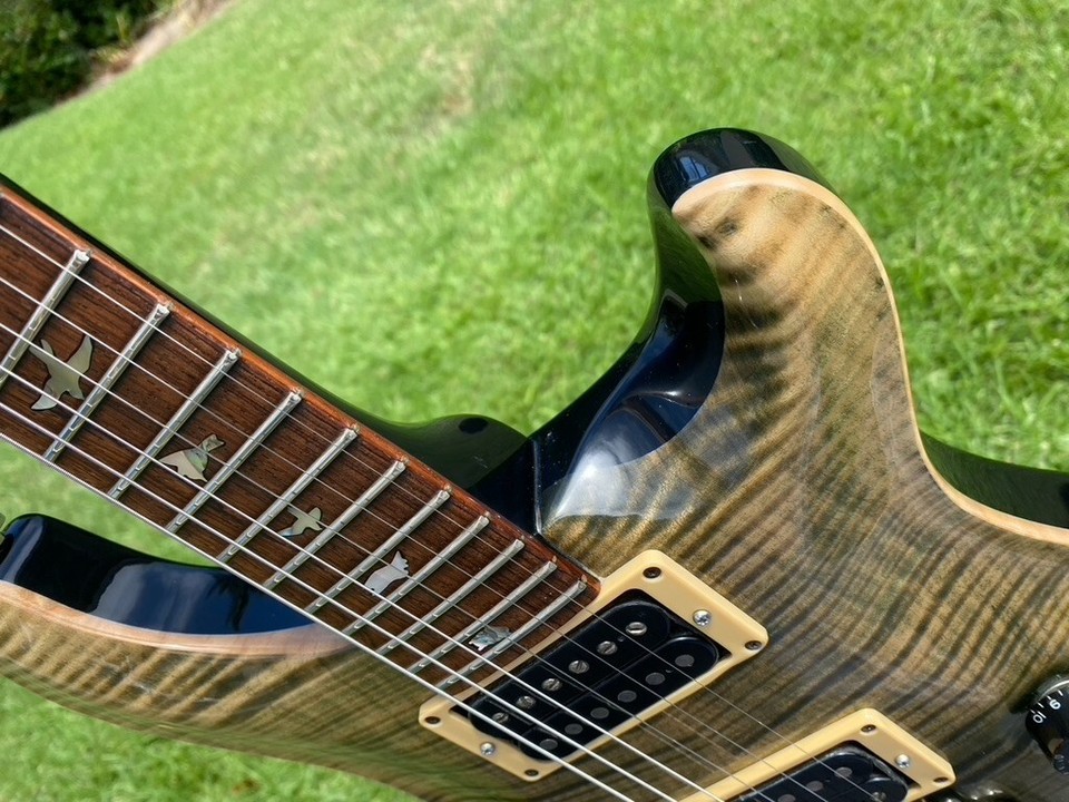1990 PRS Custom 24 10 Top Green w/ Birds - Brazilian Board - Orig ...