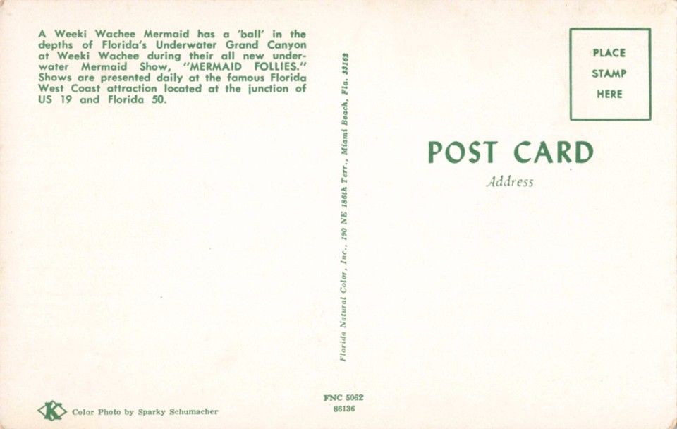 Spring Hill, Florida Postcard Weeki Wachee Mermaid Follies c 1970s Z8 ...