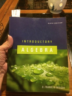 Introductory Algebra 6th ed Text Only Softcover (2007, Paperback ...