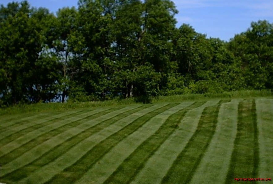 Lawn Striper Grass Roller Striping Kit eXmark Lazer Z HP Triton 46" 50 ...