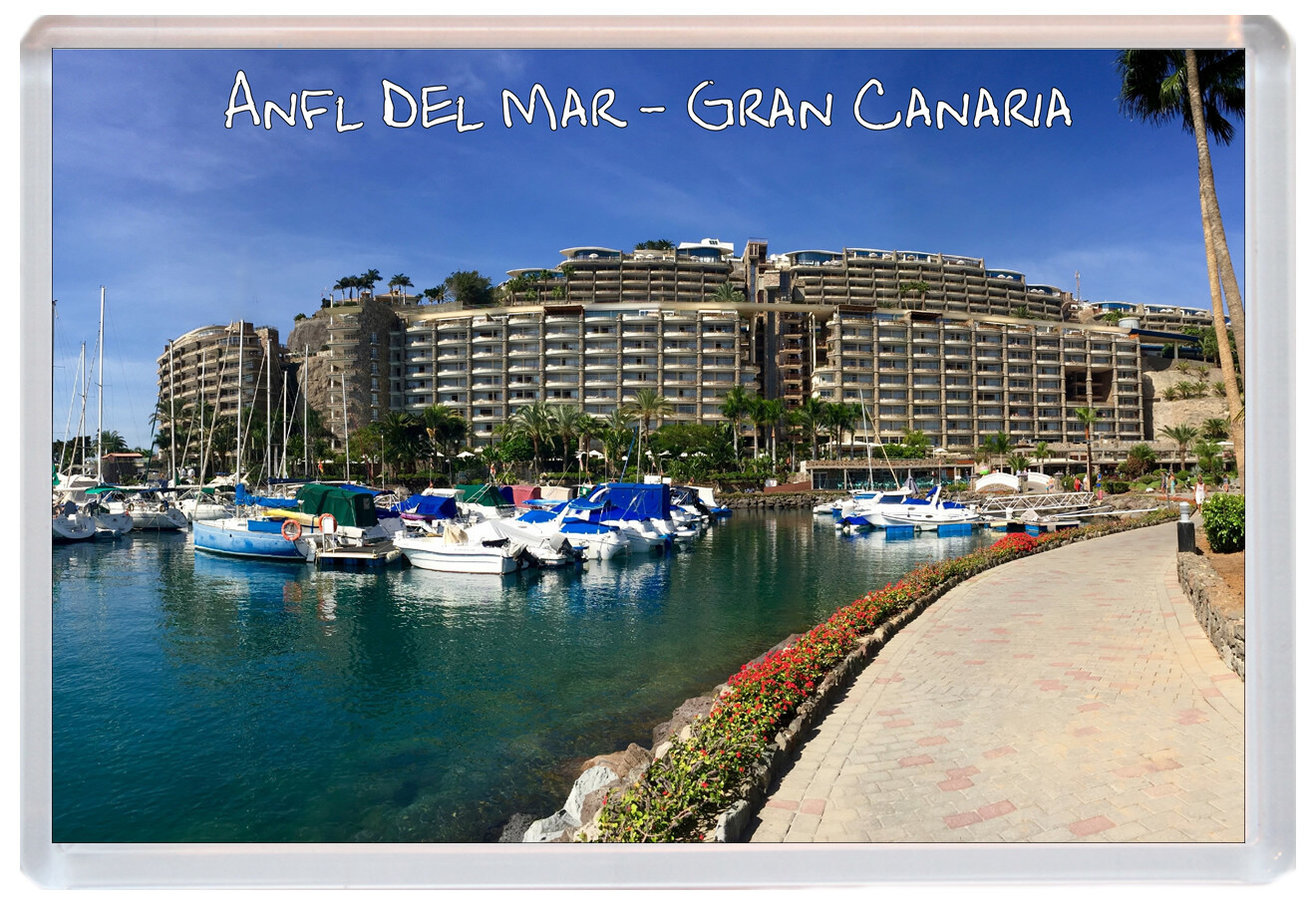 Various Canary Islands - 96 x 67mm Jumbo Fridge Magnet - Present Gift ...