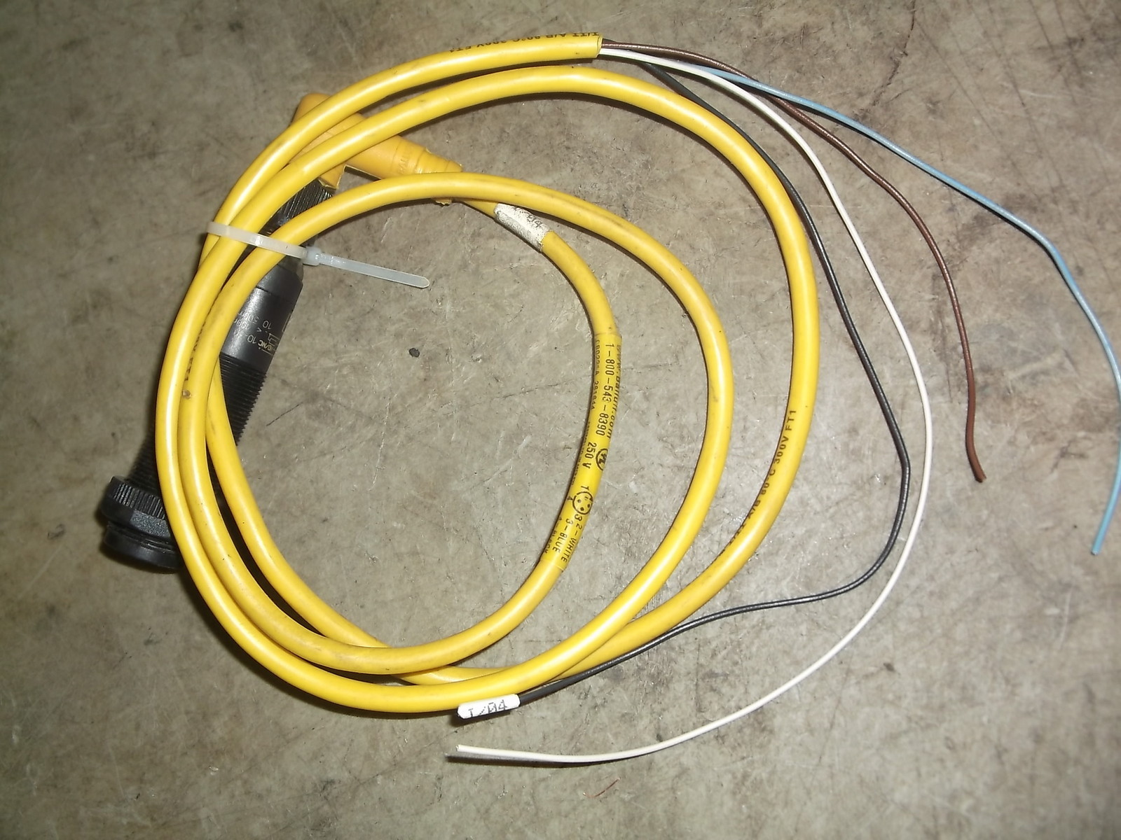 Balluff C04BEL00VY050M Sensor Cable Cordset Assembly *FREE SHIPPING* | eBay