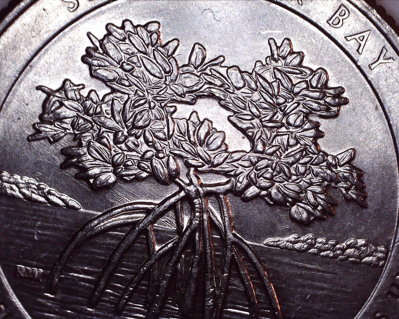 2020 P Salt River Bay quarter error feeder finger lines on reverse | eBay