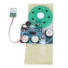 30s Greeting Card Recordable Voice Sound Module Chip With Speaker ...