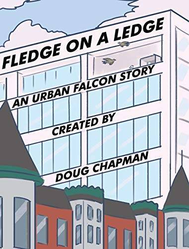 Fledge On A Ledge: An Urban Falcon Story - Hardcover - VERY GOOD ...