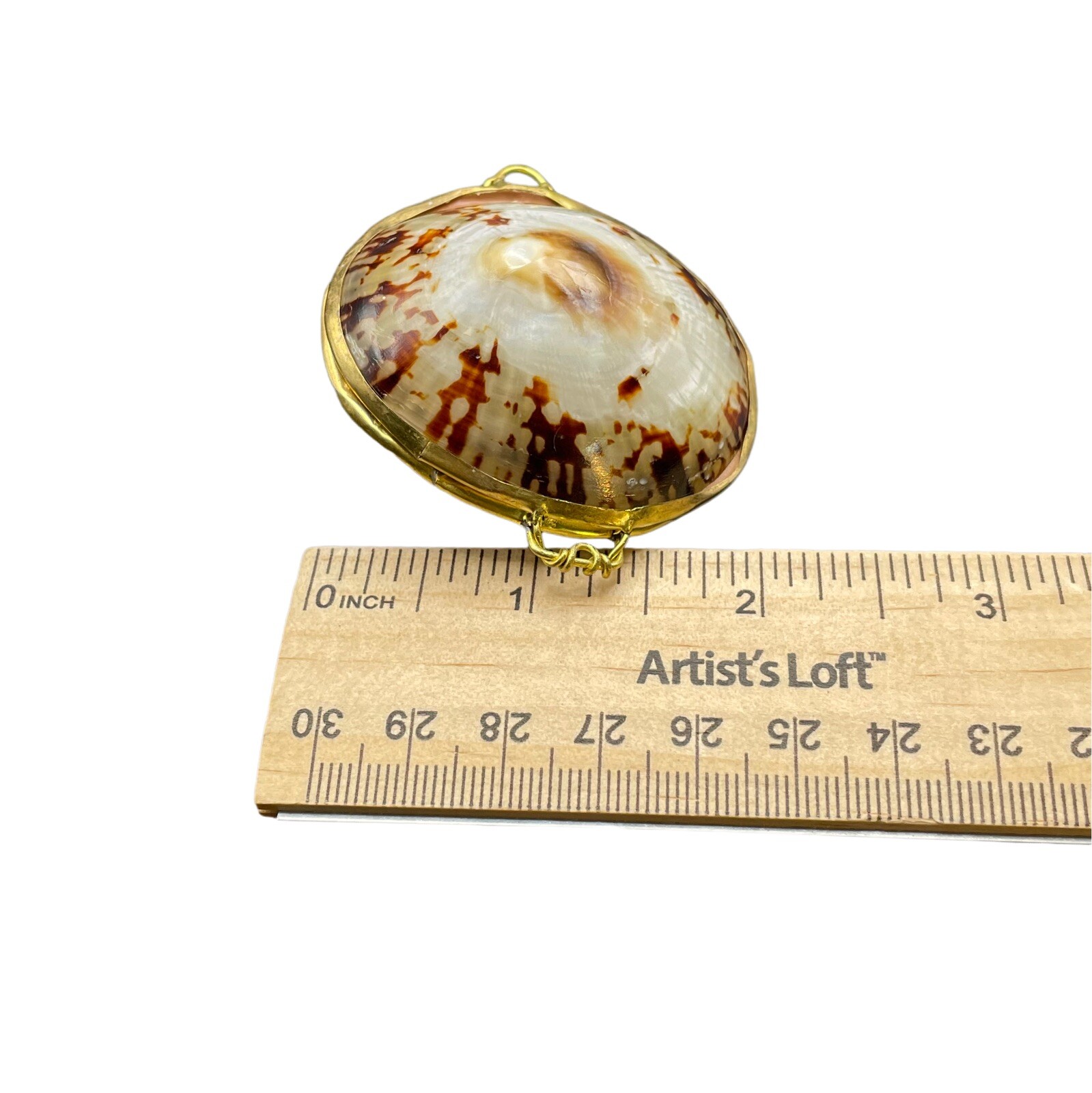 Limpet Seashell Trinket Box Hinged Lid & Clasp Closure | eBay