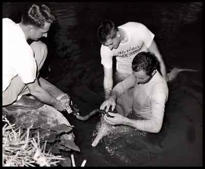 FLORIDA ICONIC SUBMARINE PHOTOGRAPHER Bruce Mozert CREDITS ORIG 1950s ...