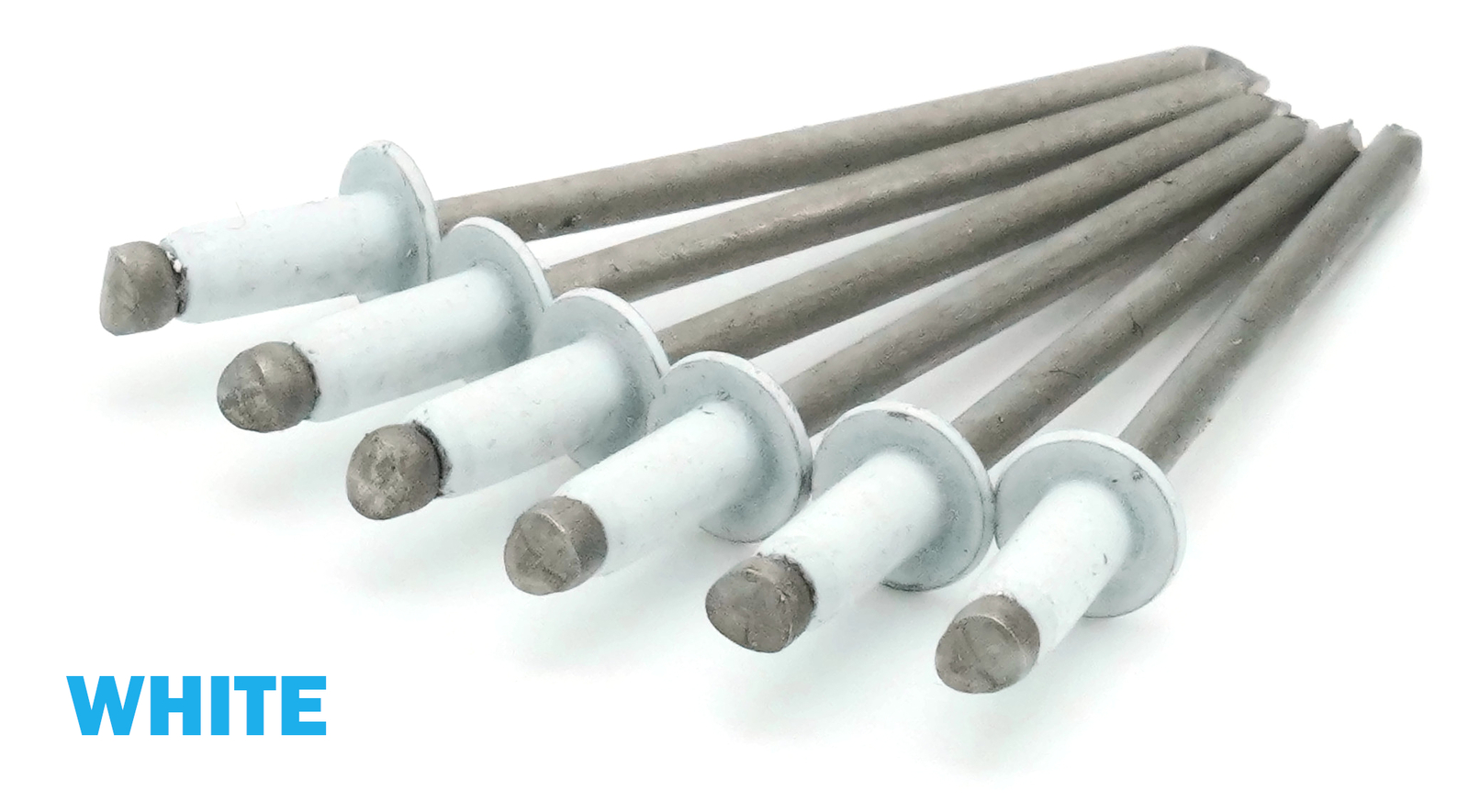 Pop Rivets 1/8" Diameter #4 Painted Stainless Steel Blind Rivets ...