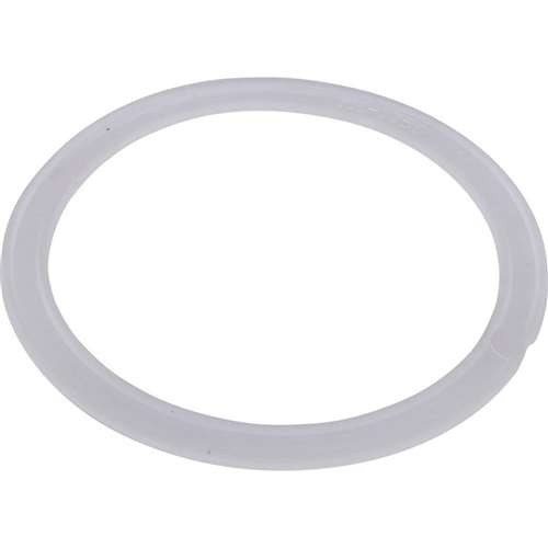 Waterway Gasket, WW Poly Jet Wall Fitting, Thin #711-1750 | eBay