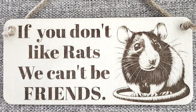 Rat Funny Quotes