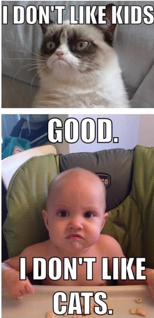Grumpy Cat Baby Meme