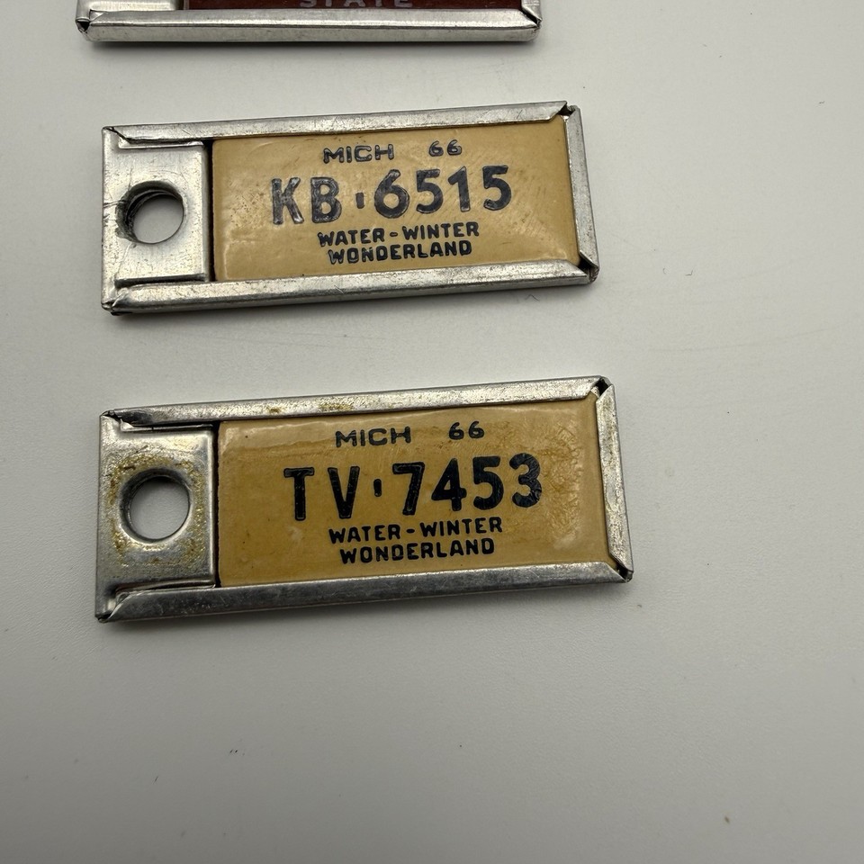 Disabled American Veterans DAV MICHIGAN License Plate Tags Keychain Lot ...